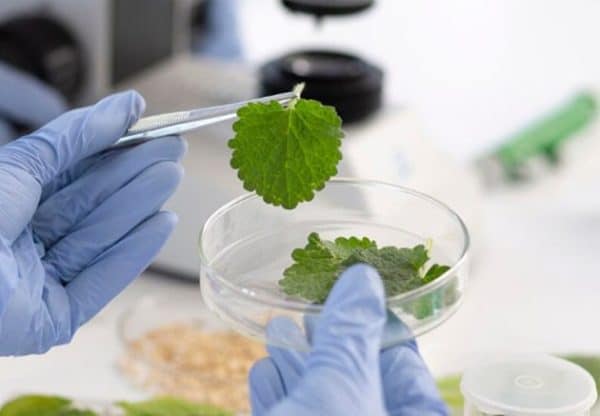 Our Facility - AquigenBio